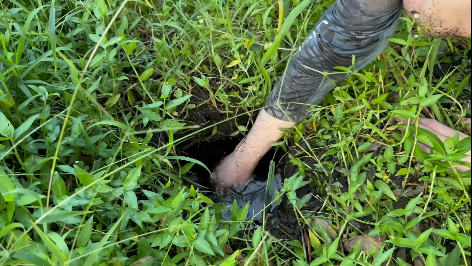 A rescue in the mud turned dangerous when hidden fish fought back