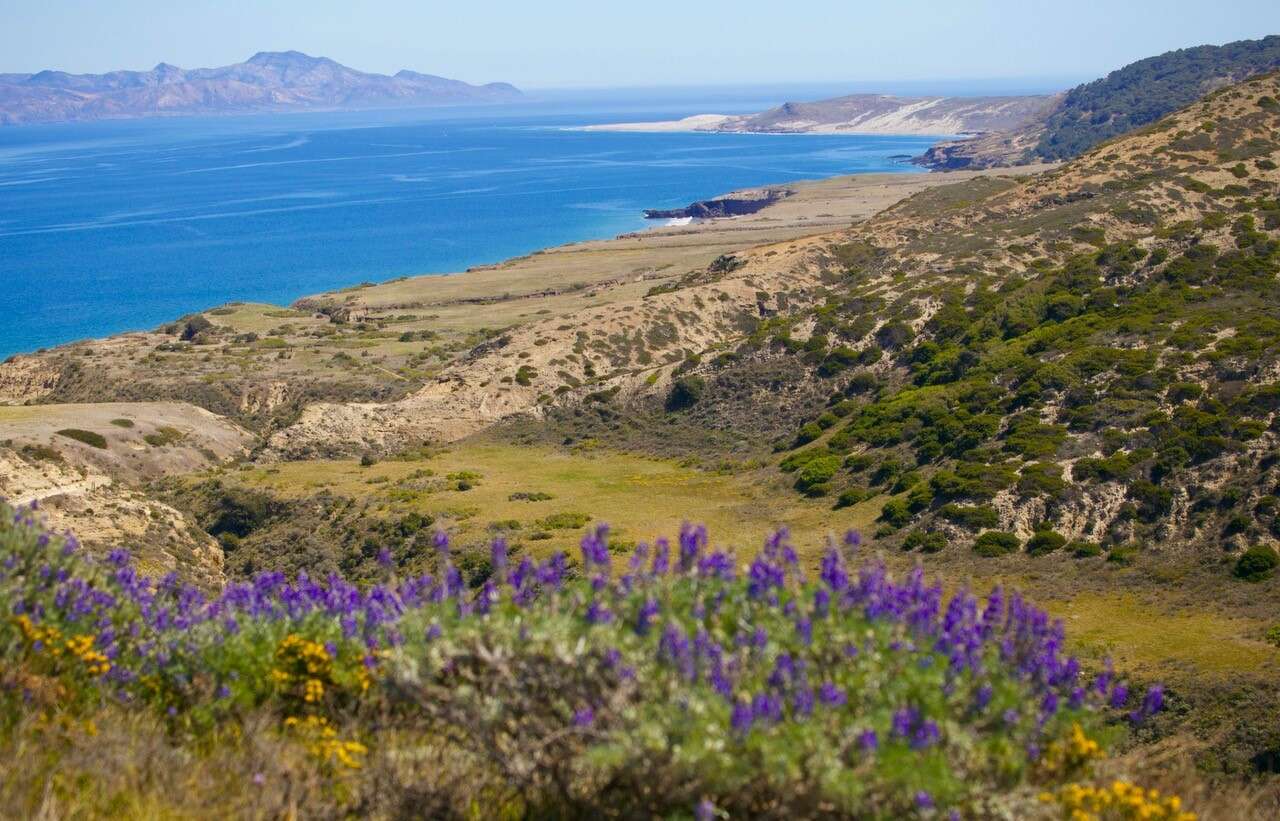 Nearly one-fifth of Calif. national park island has burned in human ...