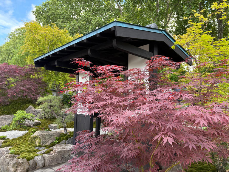 The top trends you need to know from the RHS Chelsea Flower Show