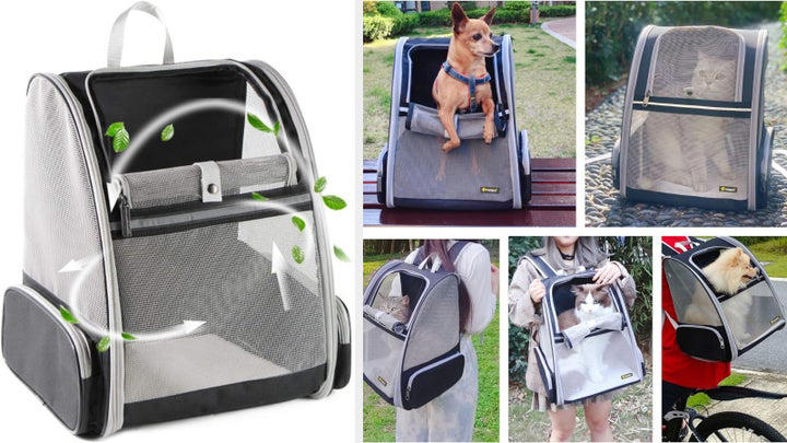 The best actually-comfortable pet carriers for travel