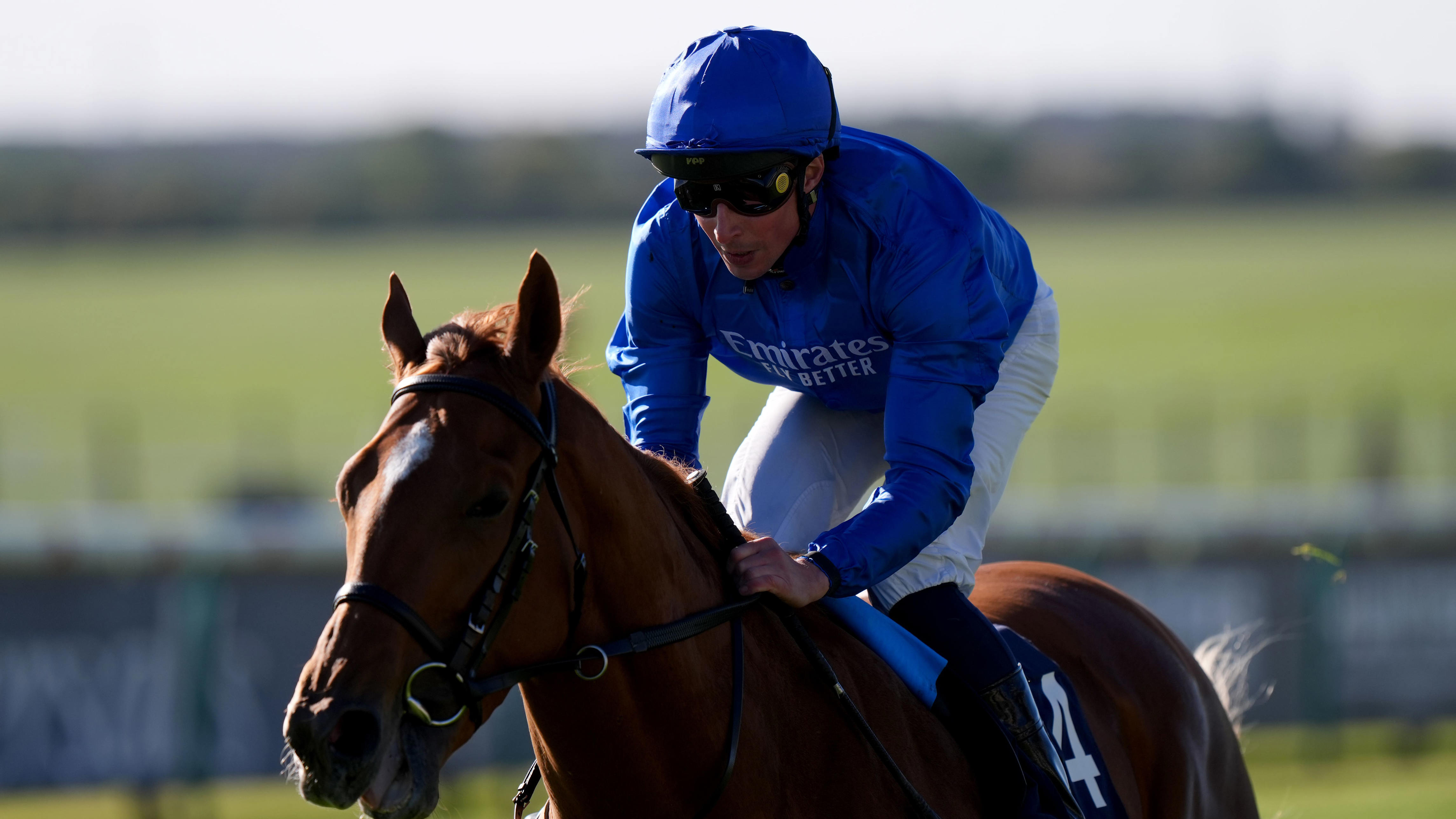 Appleby keeping Curragh open for Distant Storm and Abashiri