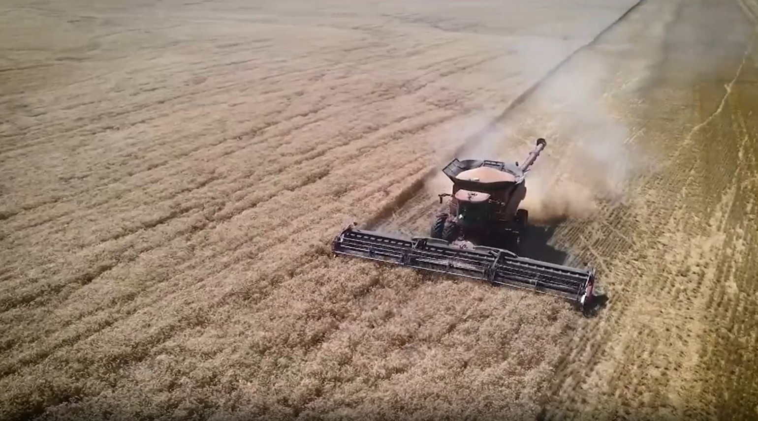 Producers look to Senate for changes after House passes Farm Bill