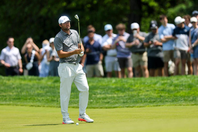 Trevor Immelman picks if Rory McIlroy or Scottie Scheffler will be more ...