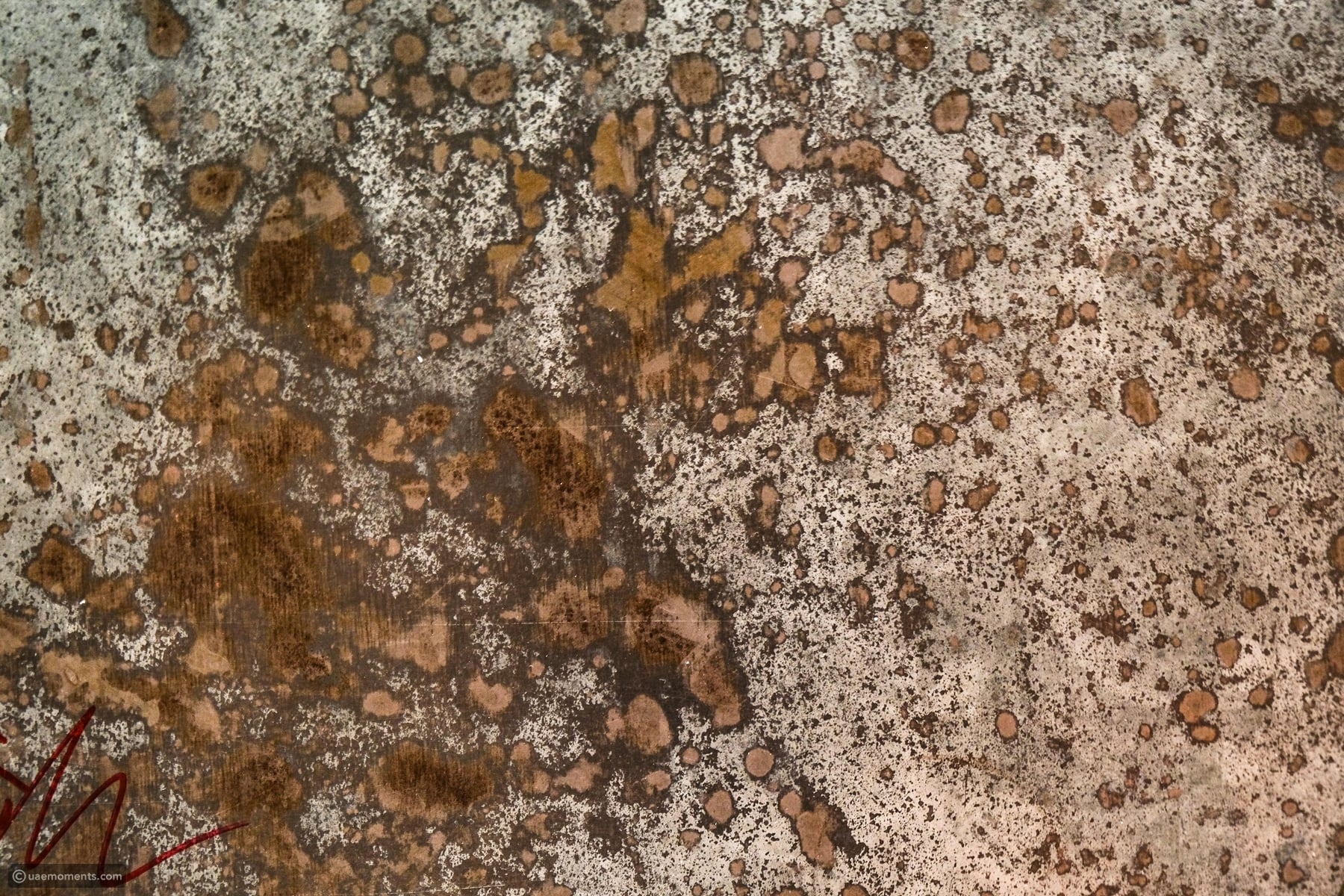 NASA spots strange rock formations on Mars