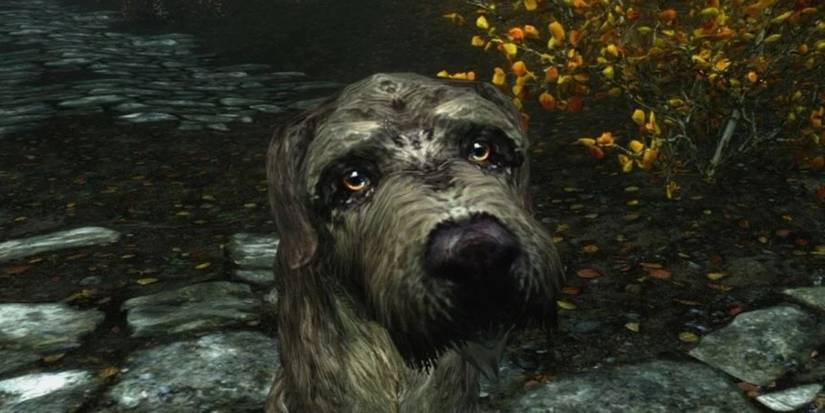 35 unforgettable video games for dog lovers