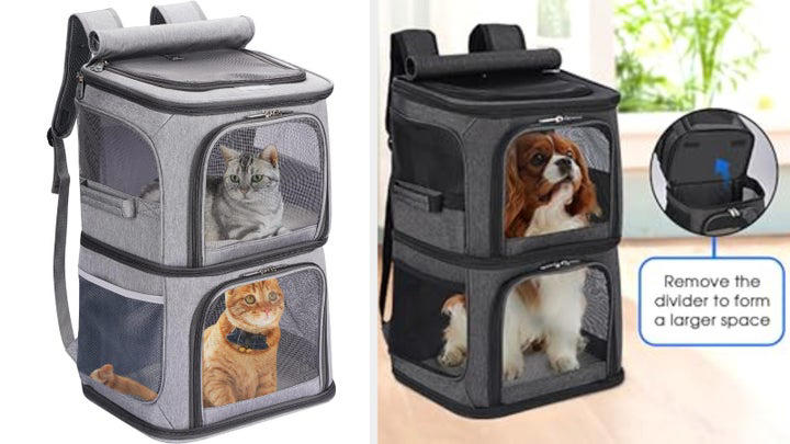 The best actually-comfortable pet carriers for travel