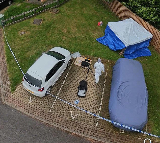 Four teenage boys arrested after woman, 30, is stabbed before suspects ...