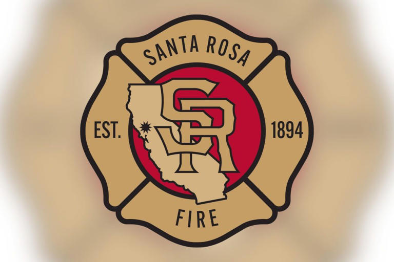 Falling tree branches during strong winds in Santa Rosa kill 1, injure ...