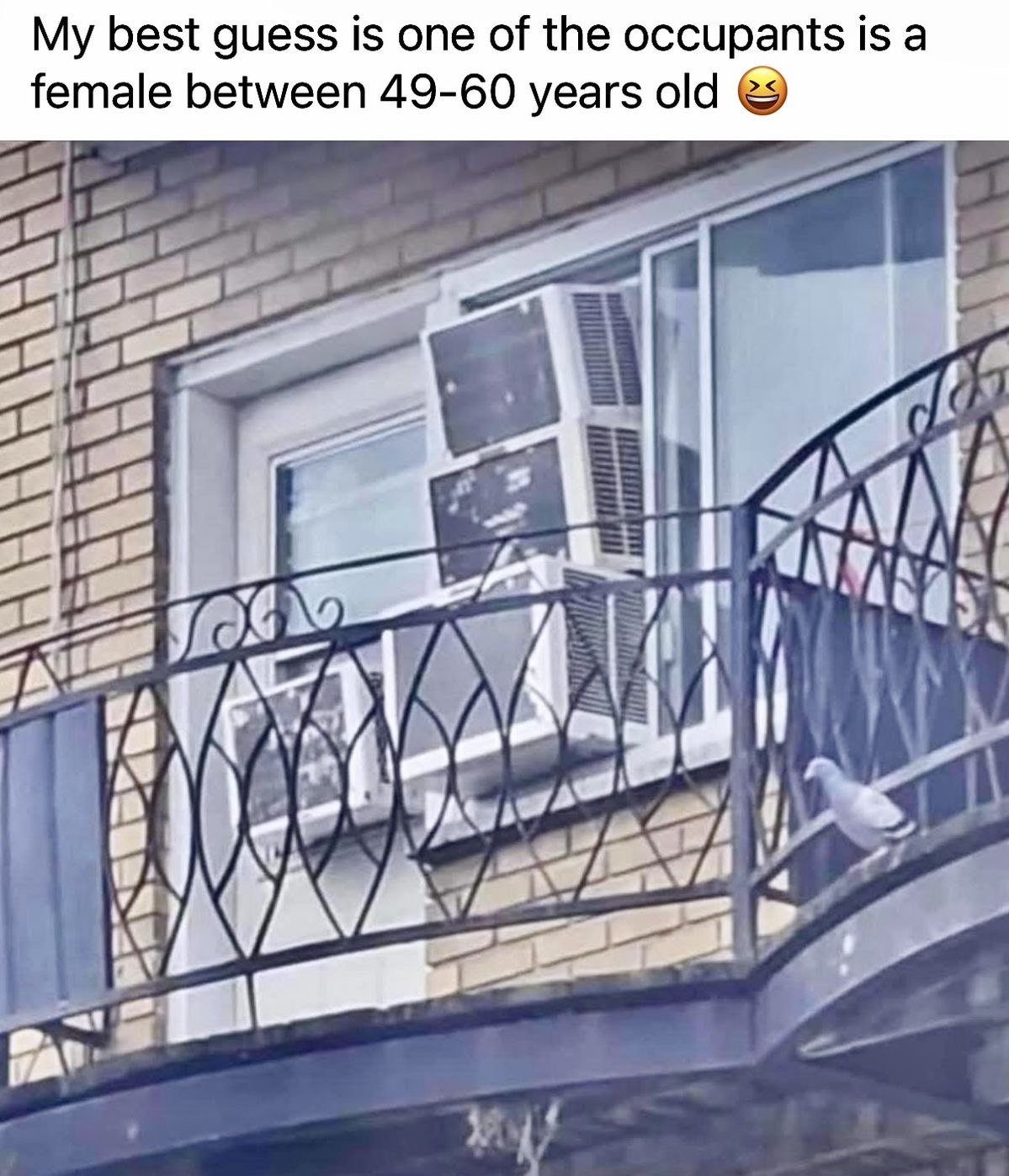 20 photos of common sense losing all its marbles