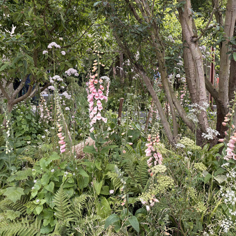 Nettles and dandelions are the unexpected stars of this year's ...
