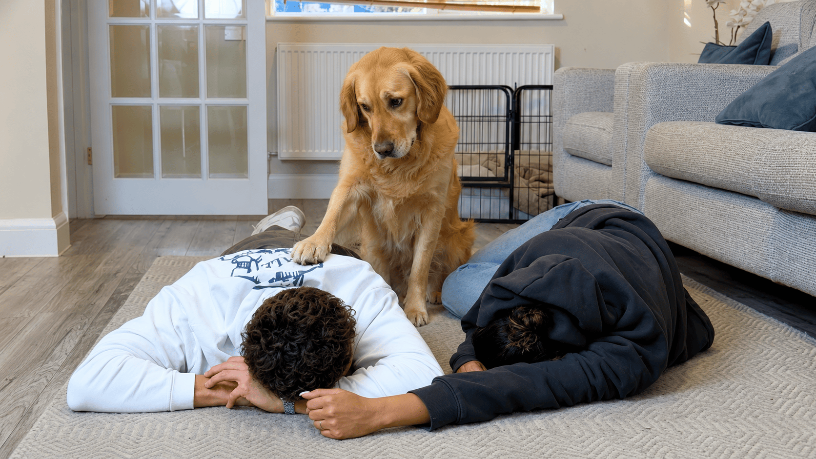 Golden retriever checks on me after fainting