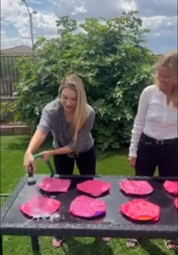 Sisters backyard water plate game prizes