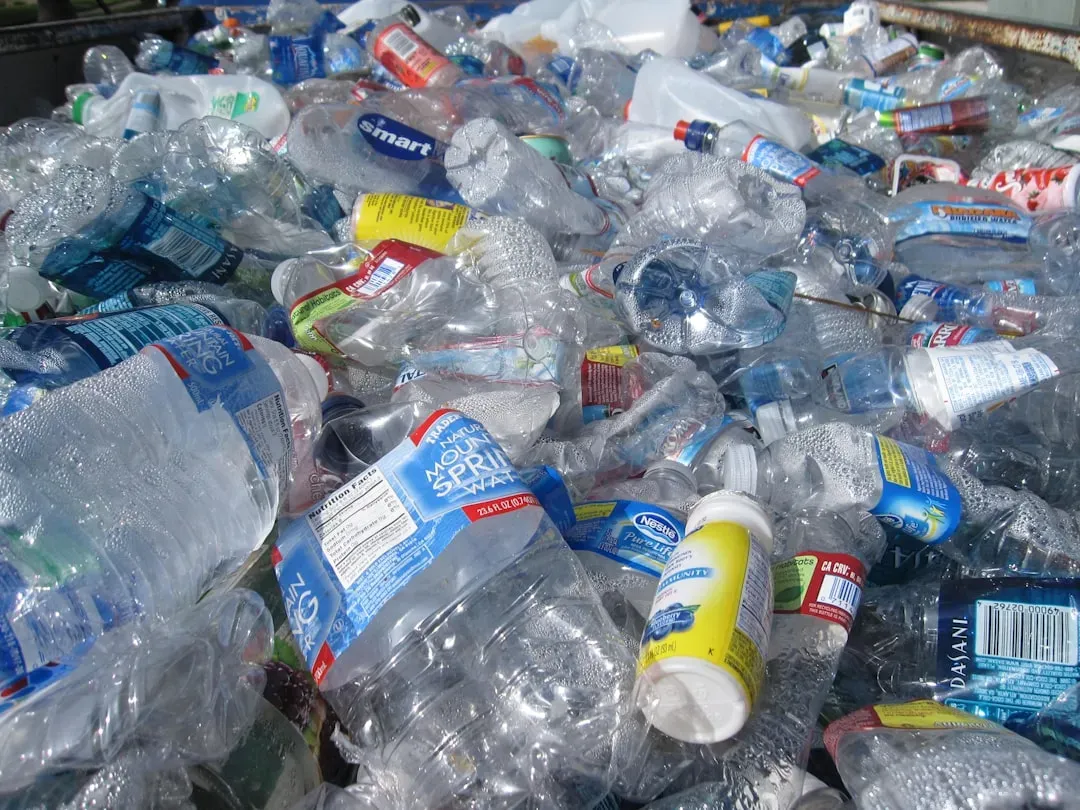 The recycling lie: 8 things you're sorting that end up in a landfill anyway