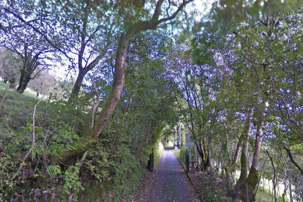Pupil seriously injured after fall on school trip as safety concerns raised