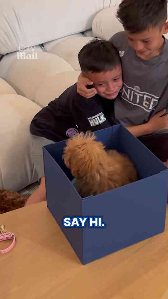 Boy bursts into tears after receiving dream puppy for birthday