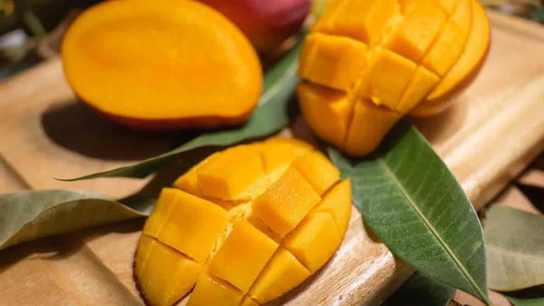 How Himsagar mango became Bengal’s most celebrated summer fruit