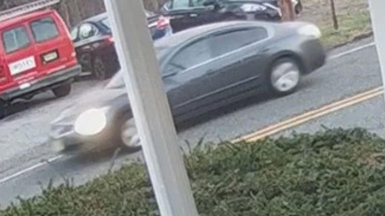 Dog found abandoned on side of the road in New Jersey, police seek answers
