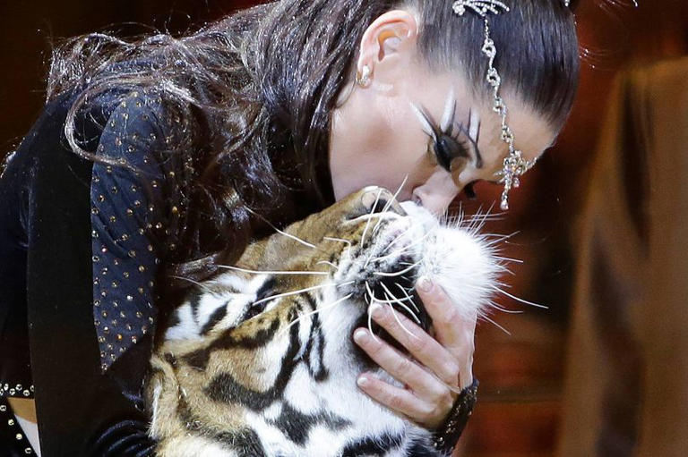 ‘Tiger Queen’s’ big cat gunned down after attacking keeper and escaping ...