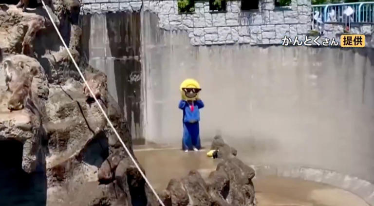 American tourists arrested after breaking into Punch the Monkey’s ...