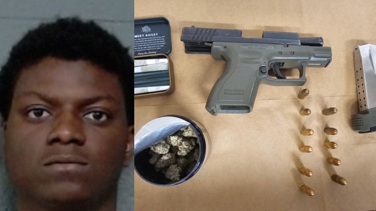 Chicago man charged after deputies recover stolen gun on Red Line train ...