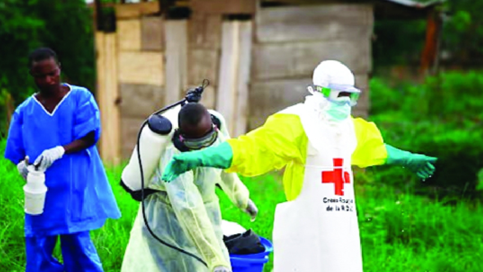 What is the Bundibugyo Ebola virus? WHO declares international health ...