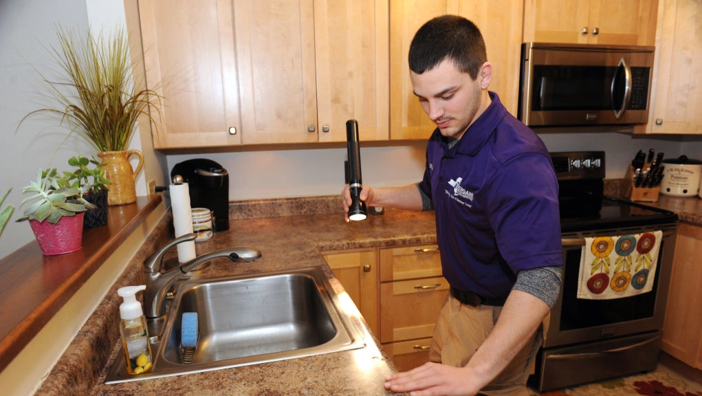 Butcher block countertops: beauty meets high maintenance reality