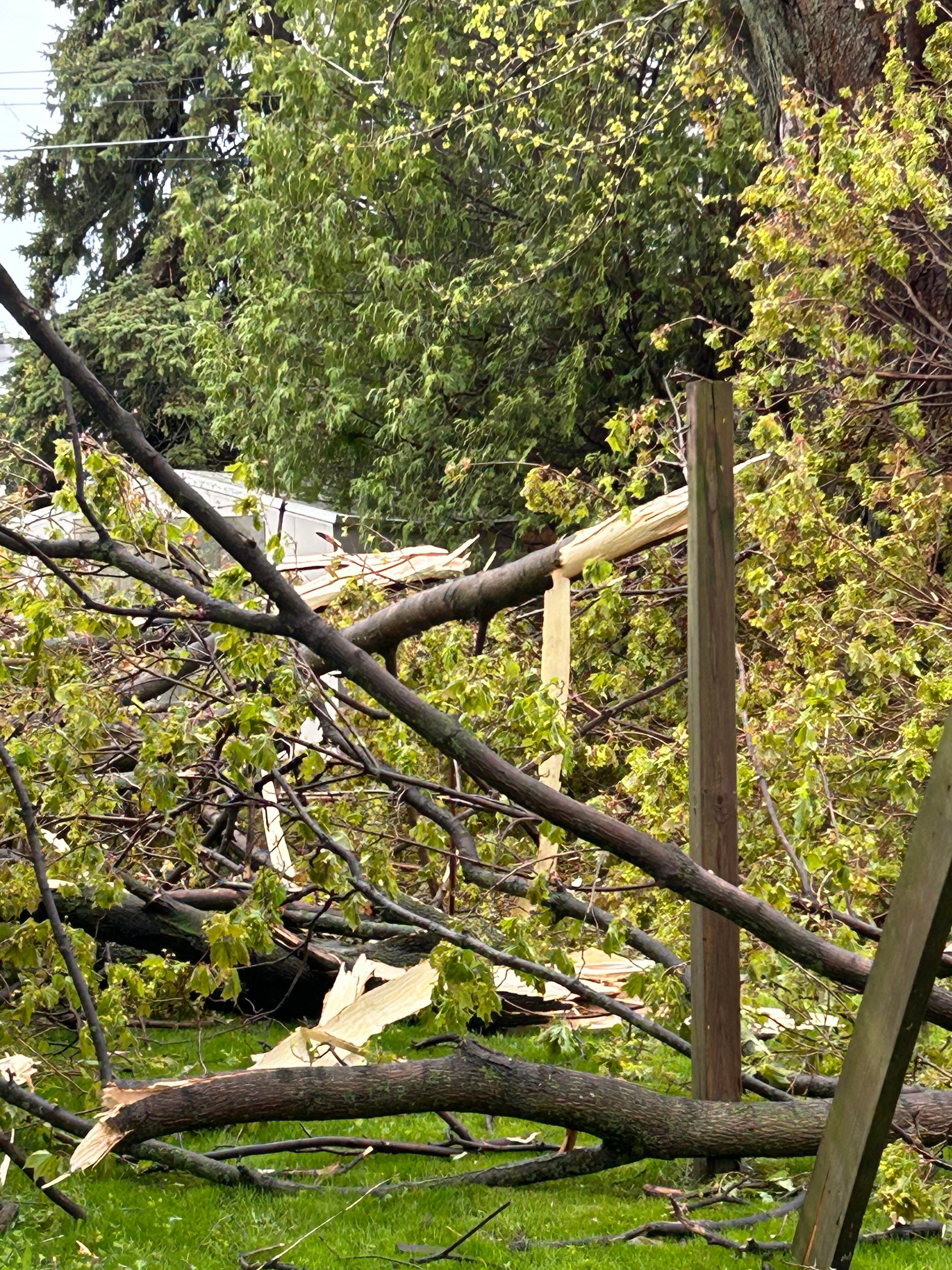Manitowoc announces curbside storm debris collection