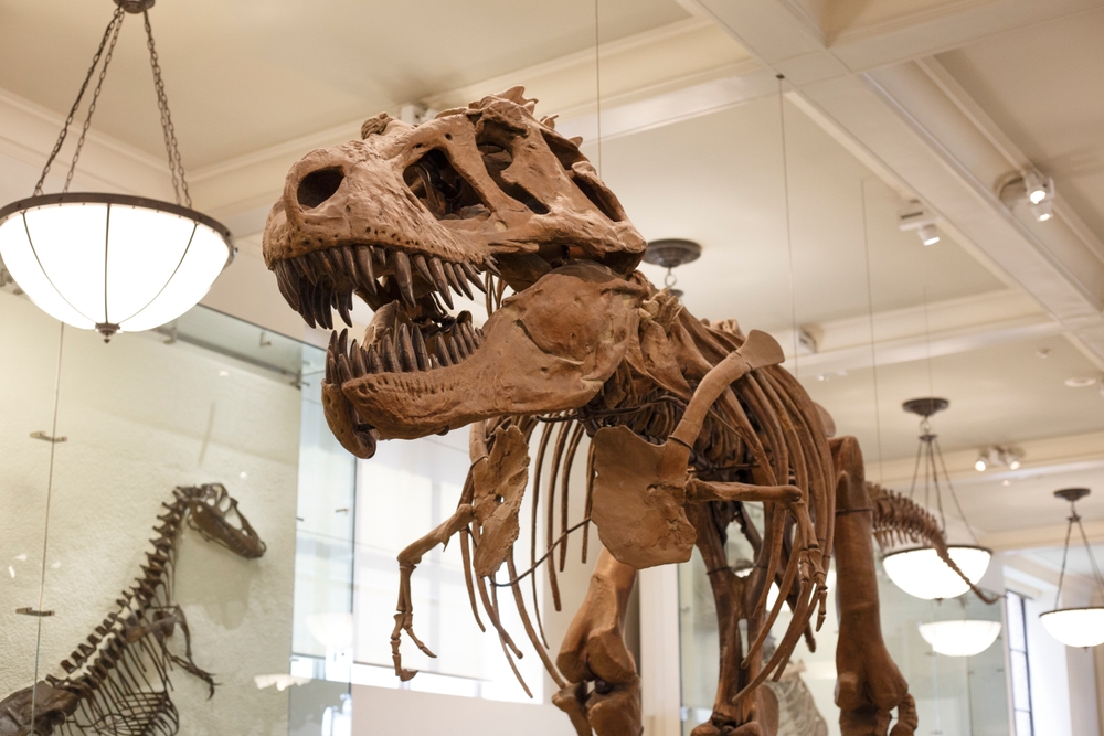 Meet Nagatitan New Dinosaur Weighing As Much As 9 Elephants Discovered