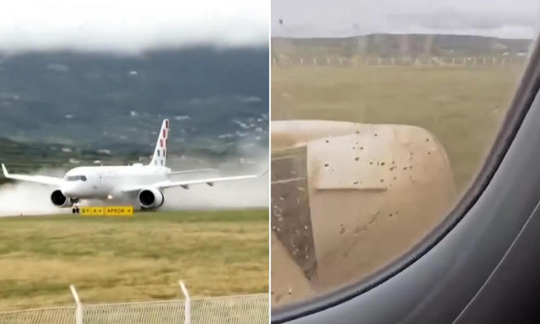 Moment terrified passengers scream as jet veers off runway in aborted ...