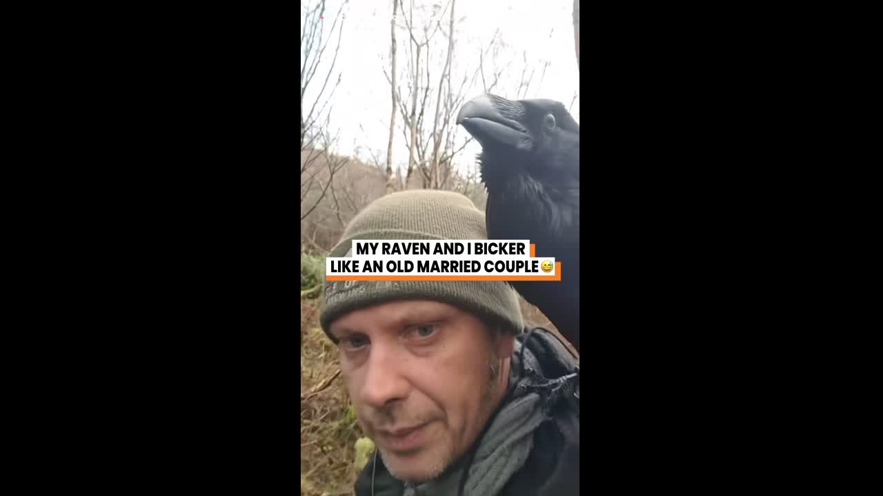 This man and his raven argue like a married couple
