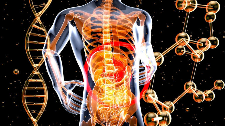 From hormones to genetics: Rheumatologist decodes why autoimmune ...