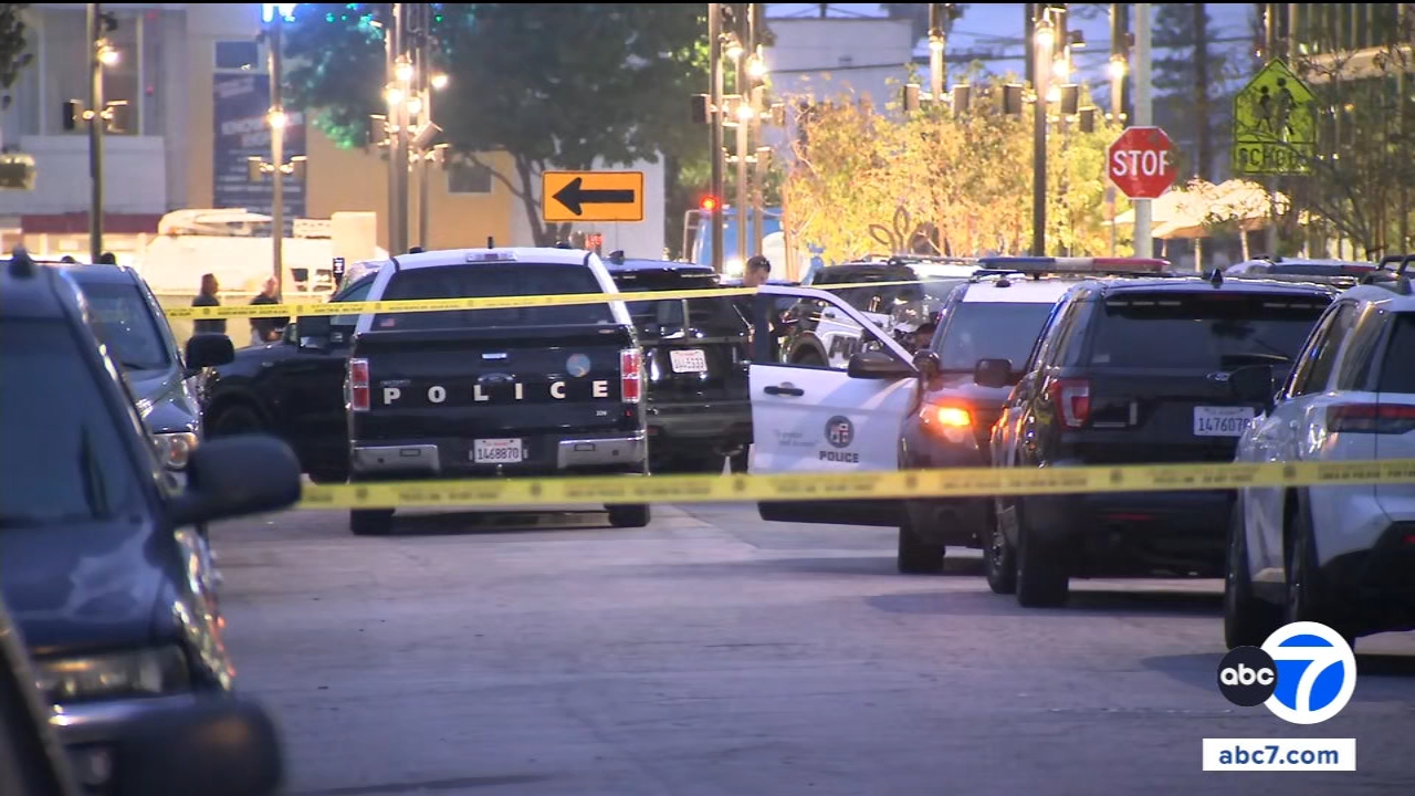 Santa Monica kidnapping suspect in custody following police chase, shooting