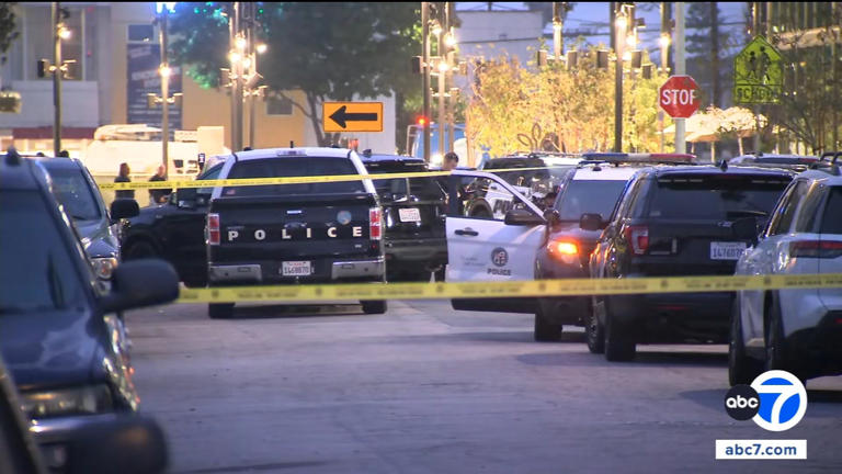 Santa Monica kidnapping suspect in custody following police chase, shooting