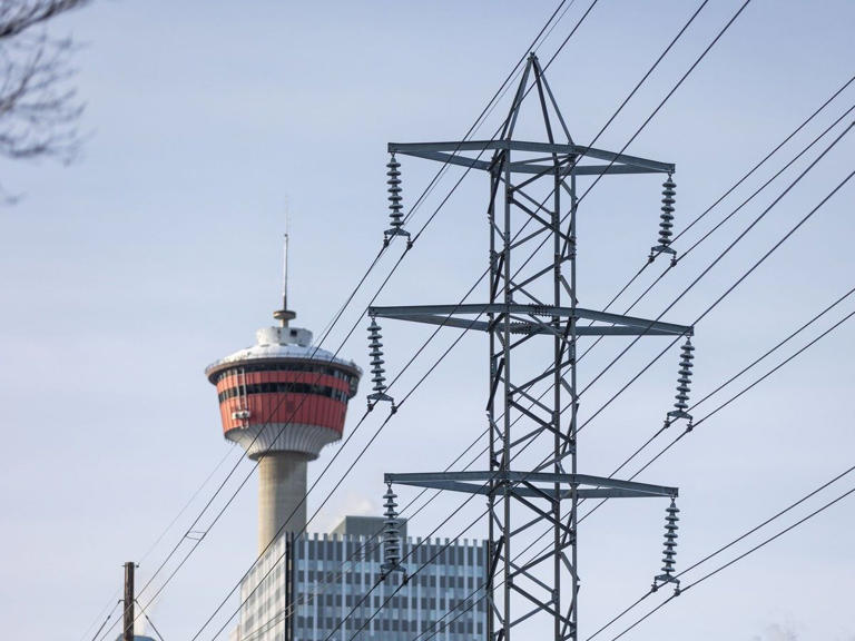 Activists push for use of plug-in balcony solar panels, but barriers remain