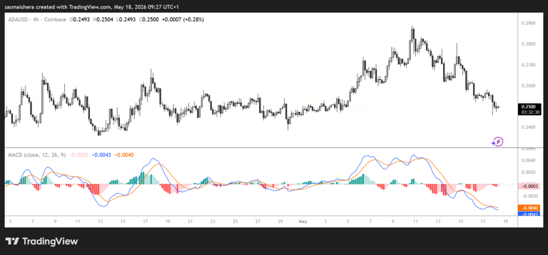 Cardano faces fresh selling pressure as ADA drops below $0.26