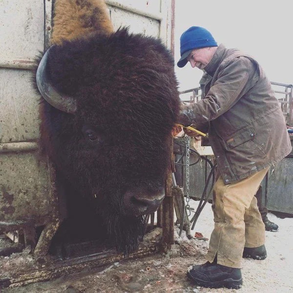 14 surprisingly huge things as captured with humans for scale