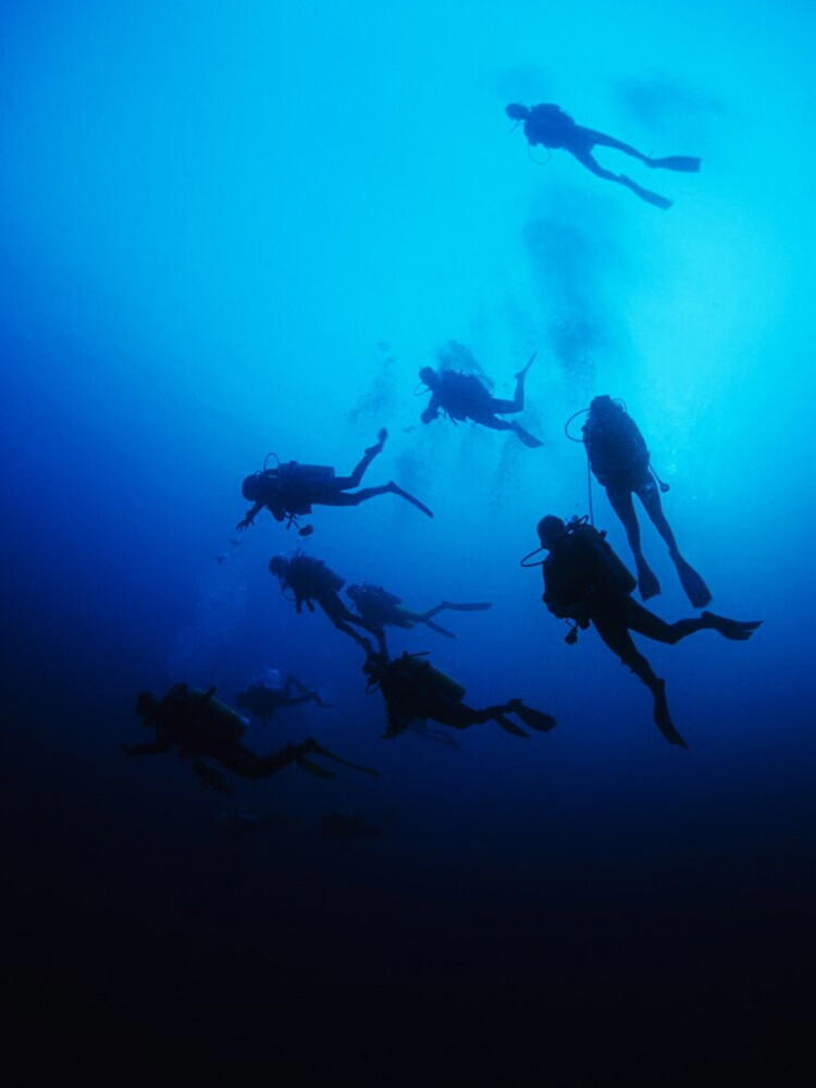 Maldive: individuati i corpi dei quattro sub italiani dispersi. Oggi e ...
