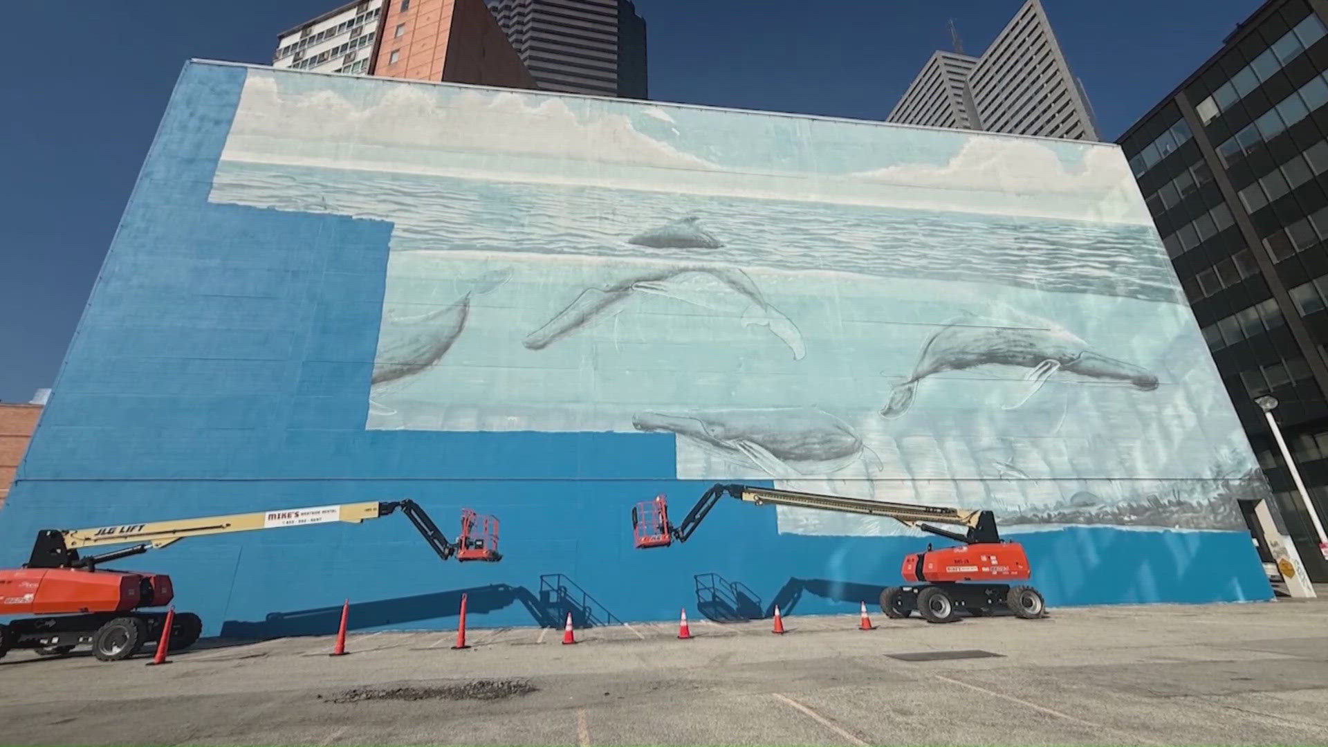 Dallas whale mural painted over ahead of FIFA World Cup