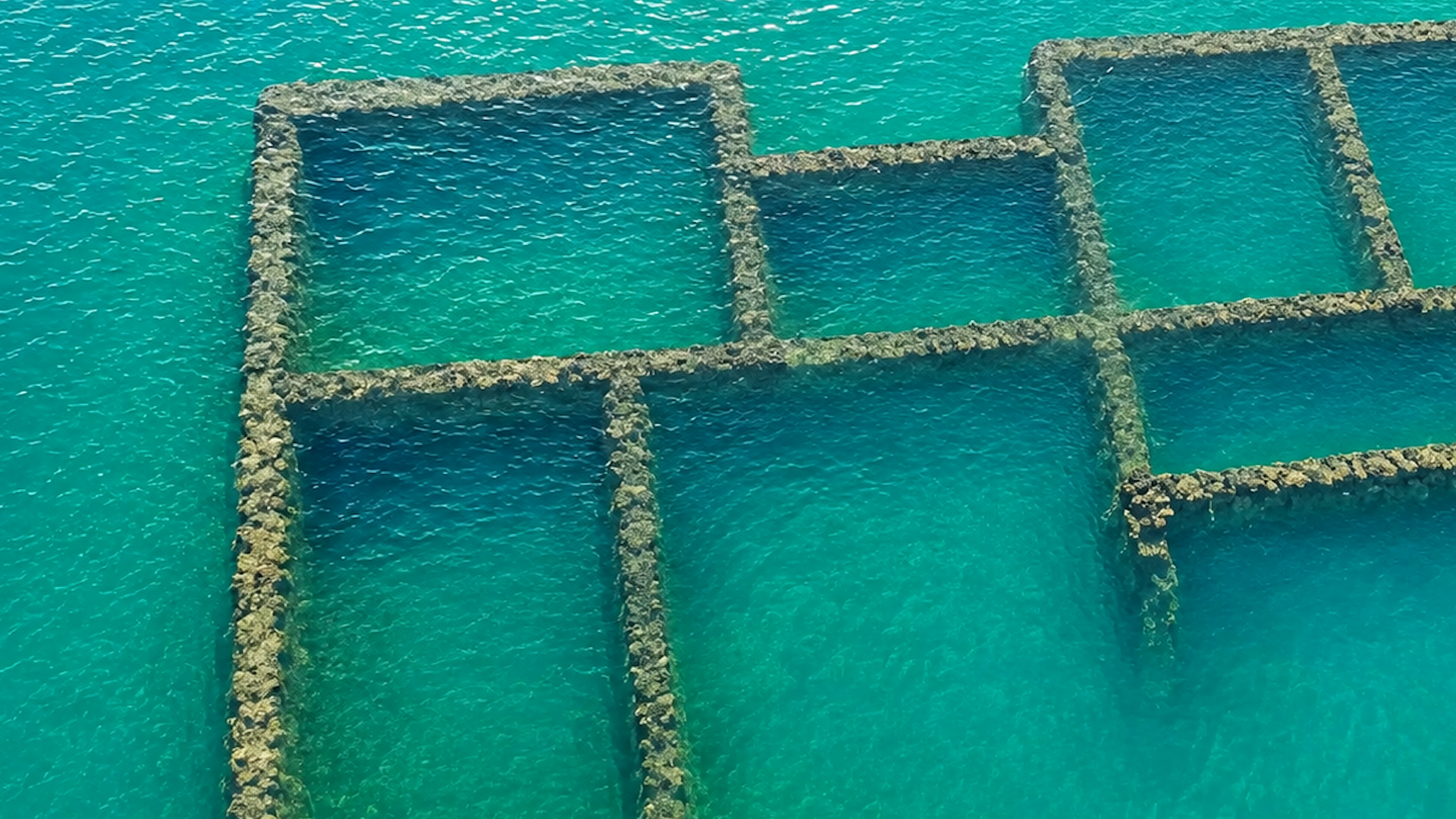 Modern tools revealing the ancient world