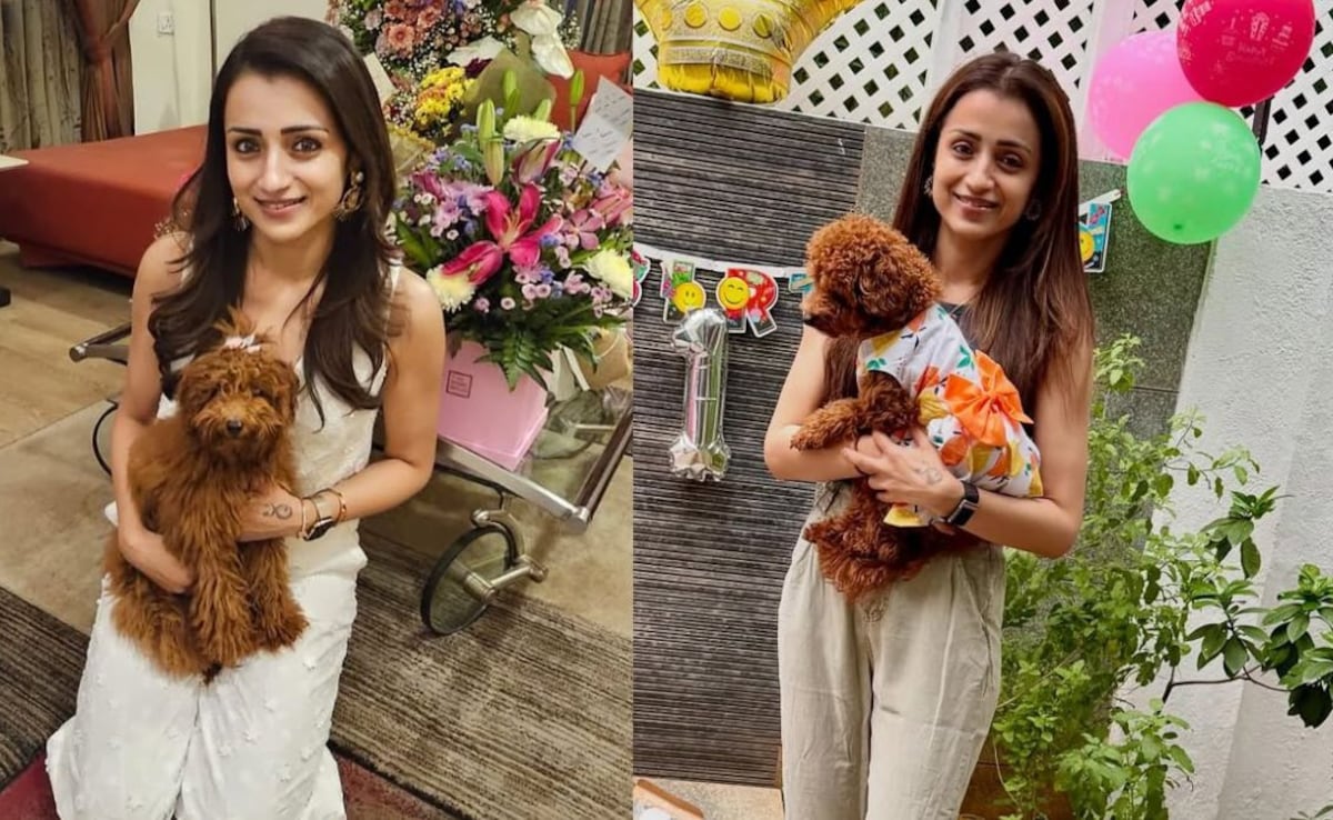 Inside Trisha Krishnan's Rs 10 crore Chennai home with wooden floors ...