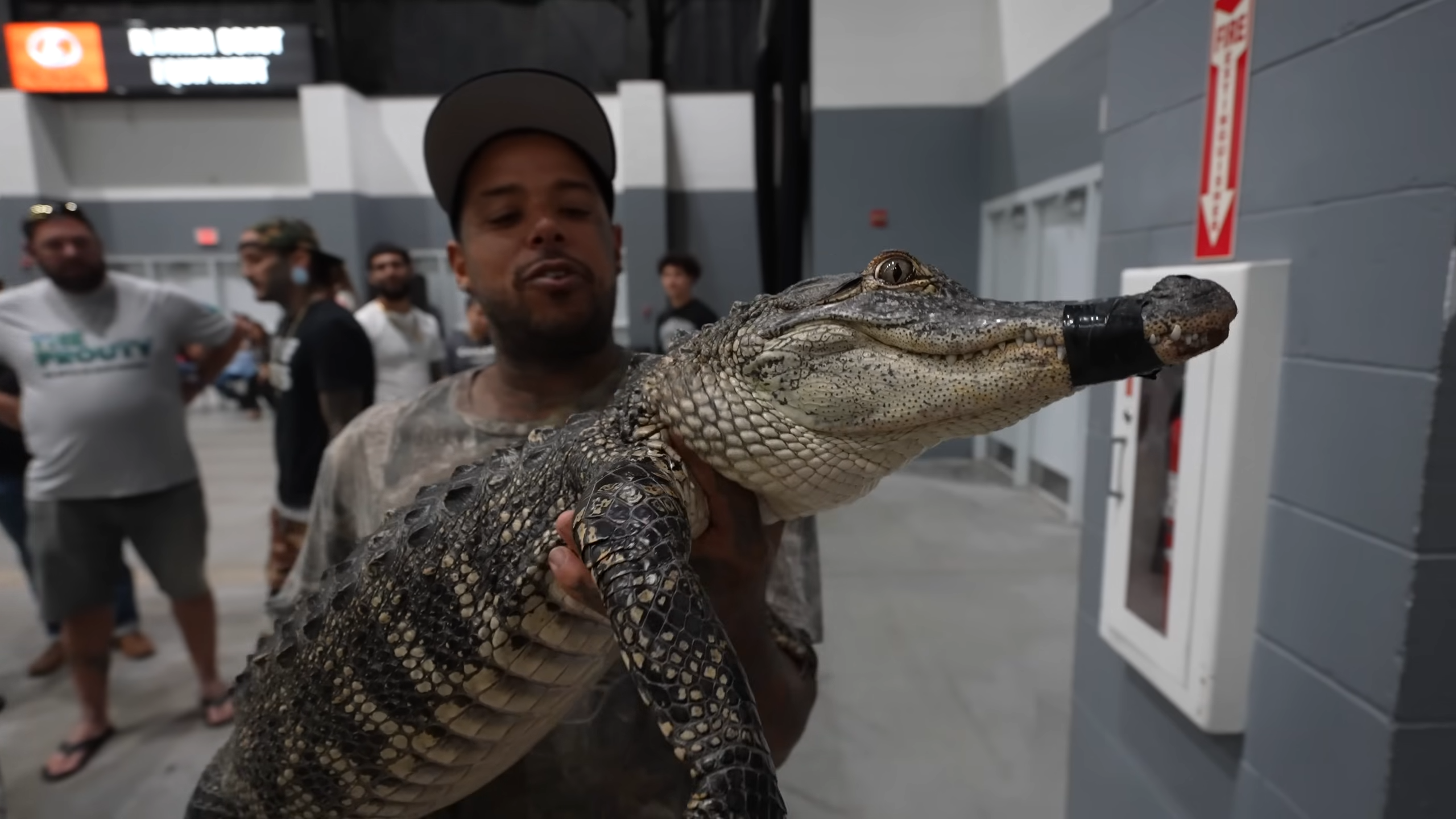 He brought a pet alligator into a packed reptile convention