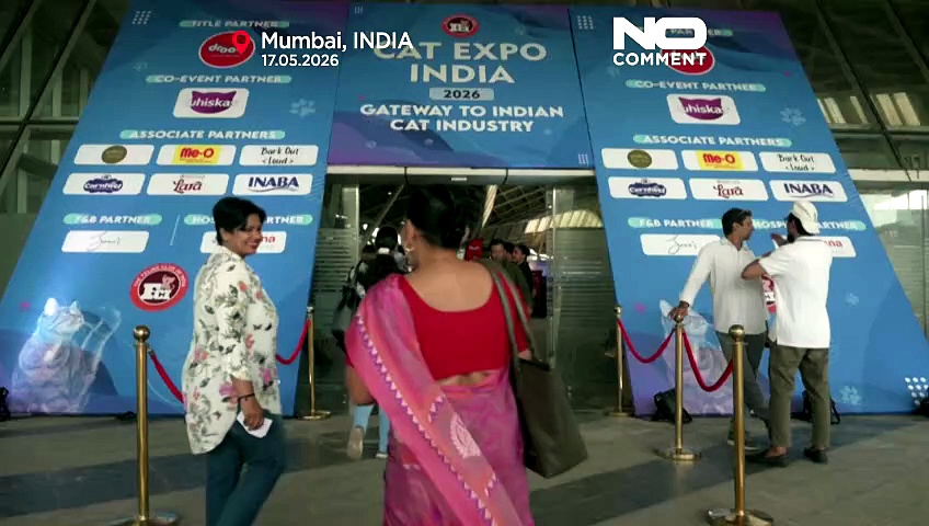 Cats in costumes and beauty contests draw crowds at expo