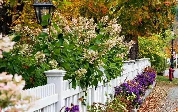 Fence ideas that blend beauty and strength