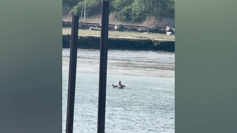 Men rescued after struggling to swim to shore in Revere