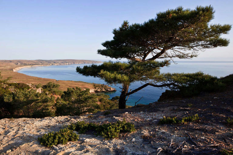 Nearly one-fifth of Calif. national park island has burned in human ...