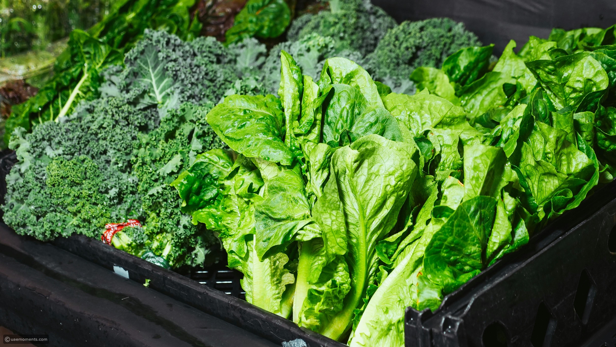 Eat better without trying so hard: Start with these foods