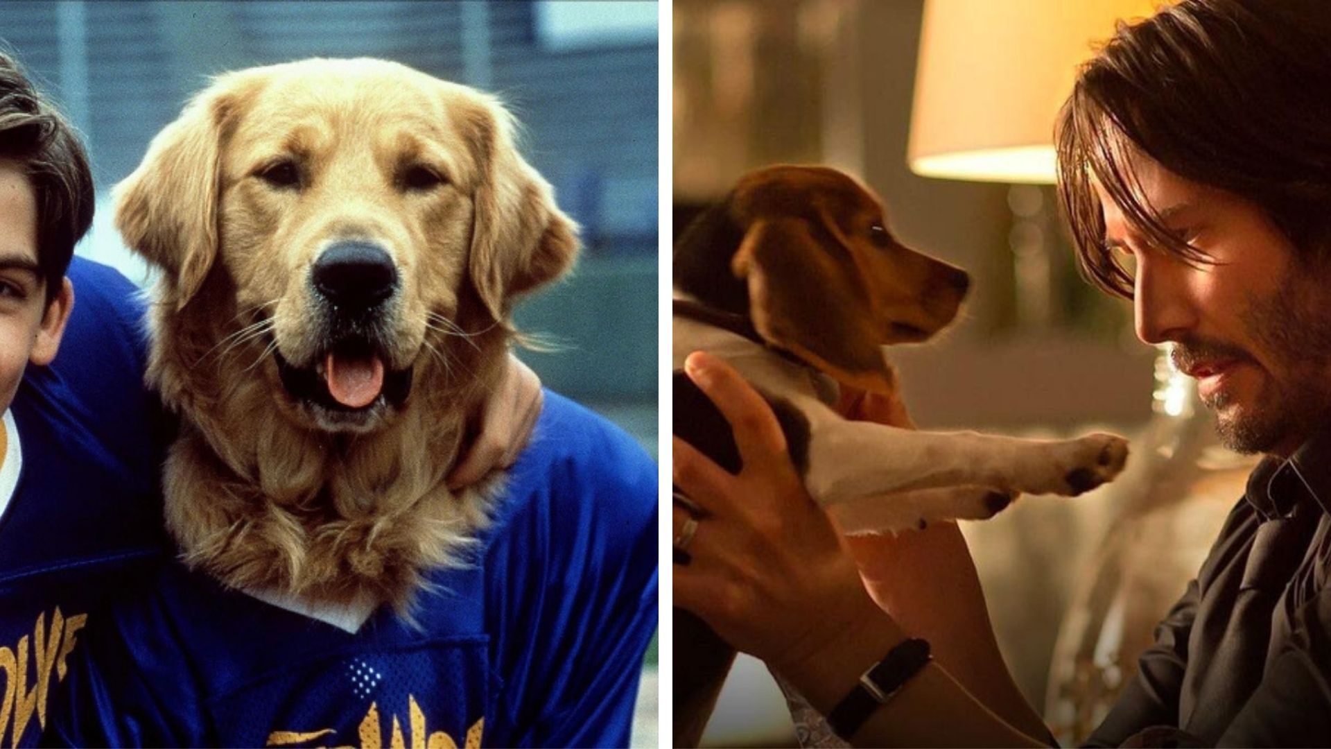 30 TV and movie pets that had no business being that iconic