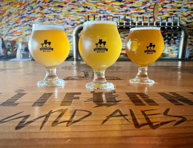 California Wild Ales launches community giving initiative with Rady ...