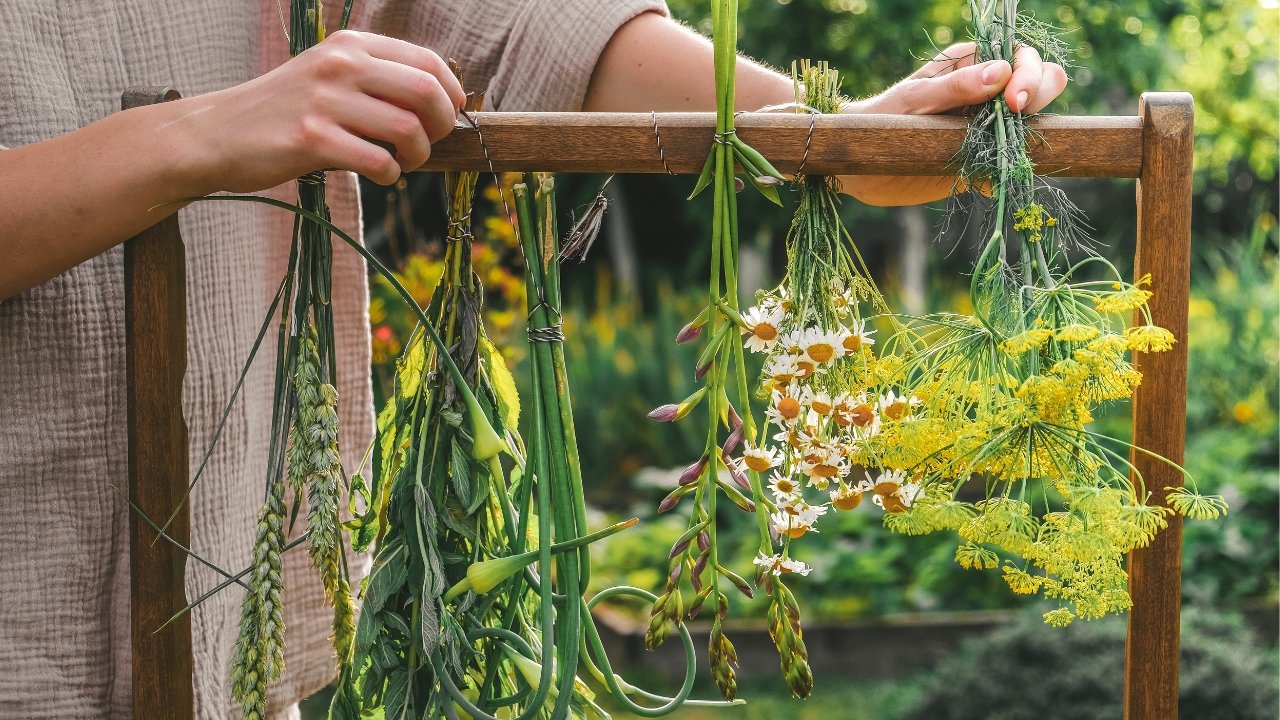 10 forgotten skills that'll make you more self-reliant today
