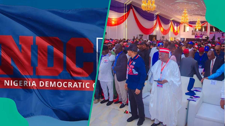 2027 elections: NDC halts presidential form sales, extends other deadlines